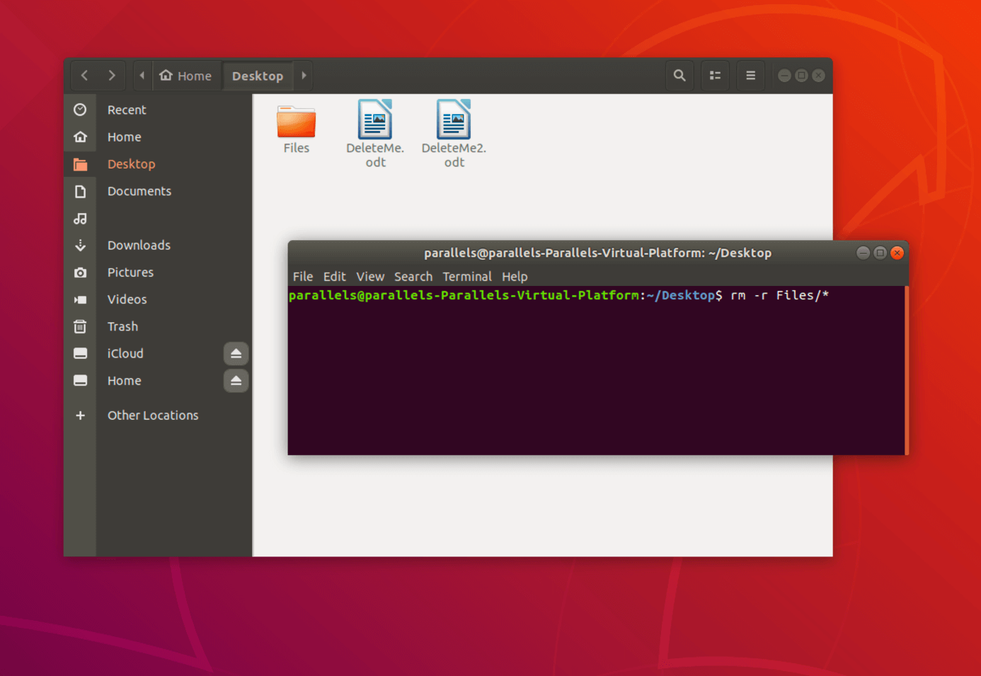 Altoparlante Vulgaridad Parte Borrar Archivos De Una Carpeta Linux