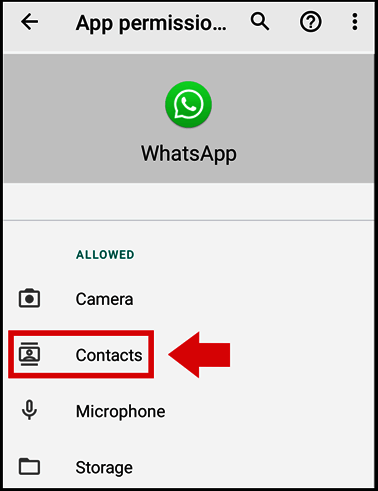 Recuperar contactos de WhatsApp en iPhone y Android - IONOS España