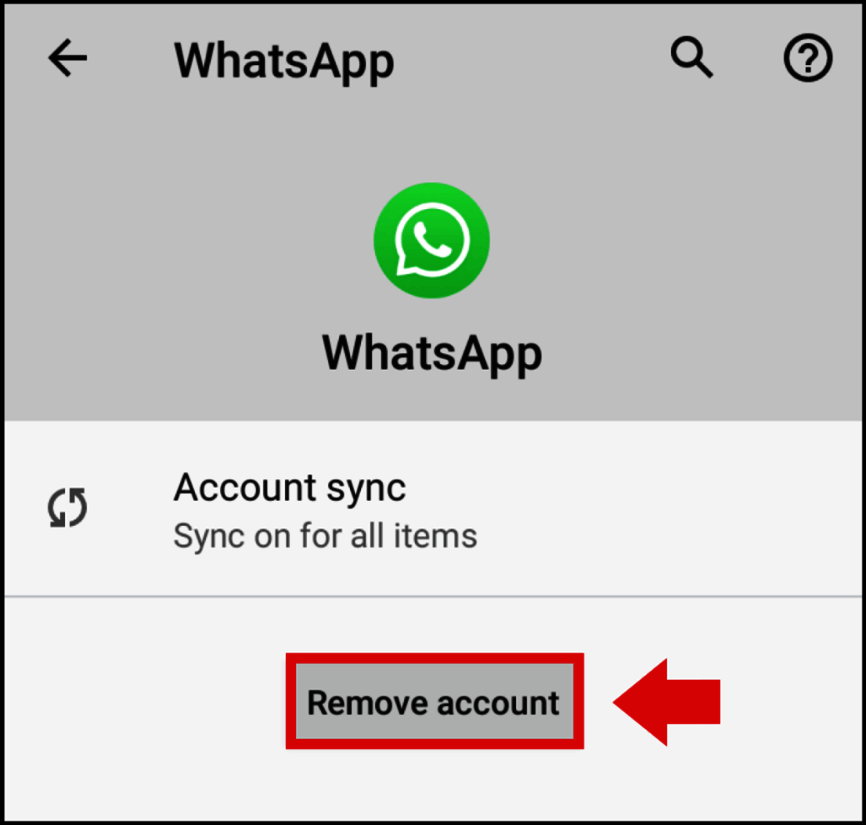 Recuperar contactos de WhatsApp en iPhone y Android - IONOS España