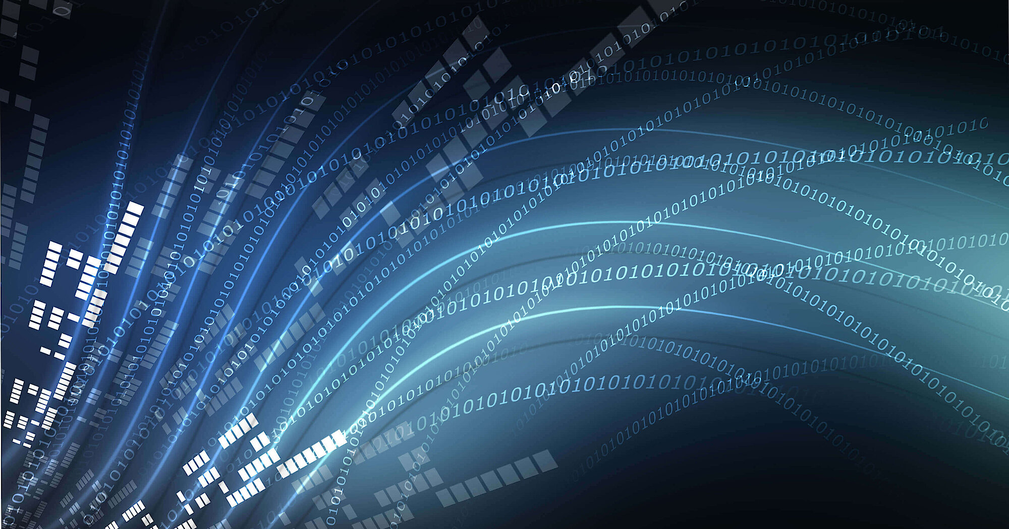 Capa de red: el tercer nivel del modelo OSI - IONOS España