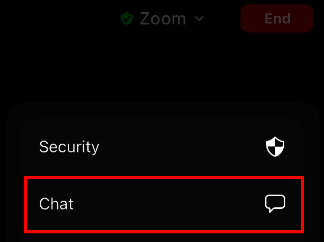Chat de Zoom: cómo usar el chat de Zoom en una reunión - IONOS España