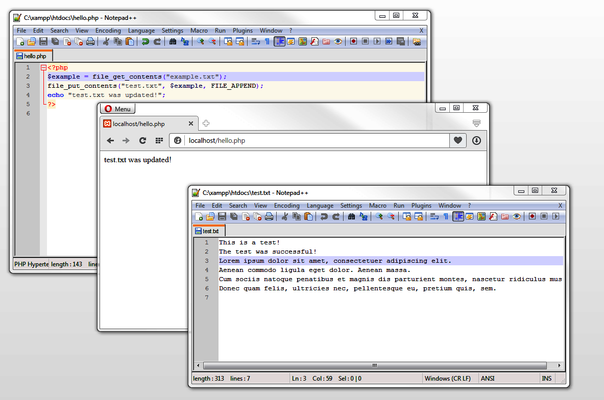 Tutorial de PHP: fundamentos básicos para principiantes - IONOS España